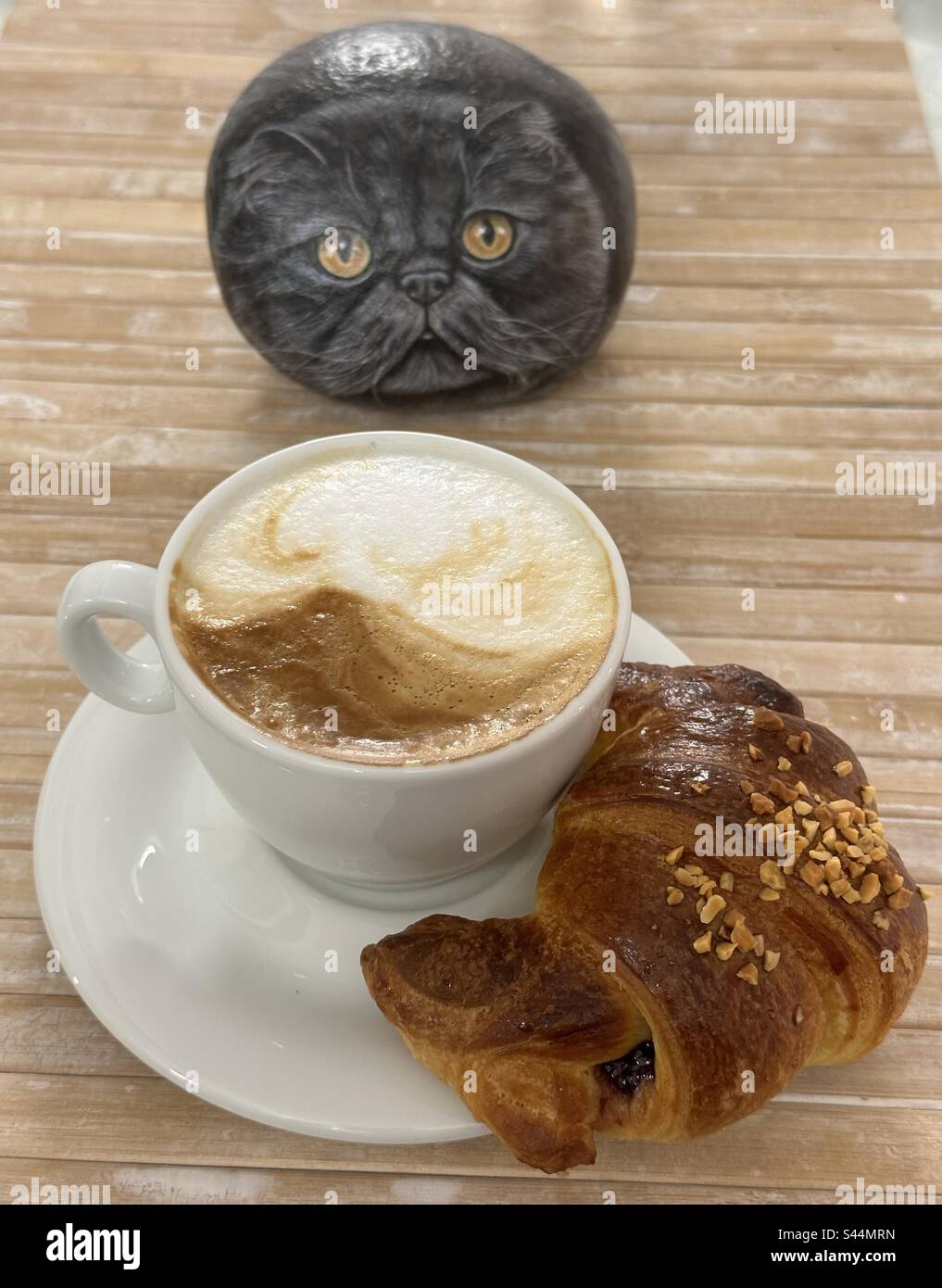 Funny and creative breakfast with a hand painted grey stone cat ...
