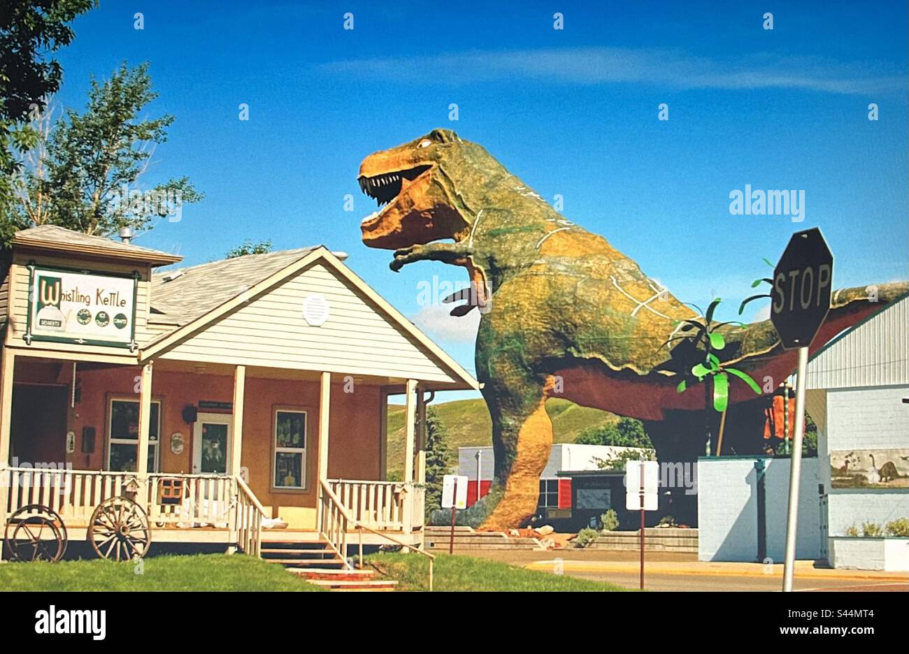 Tyrannosaurus rex, dinosaur, prehistoric wildlife, prehistoric park ...