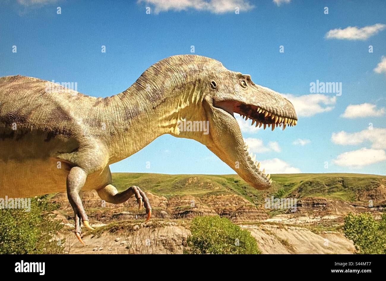 Prehistoric Park Tyrannosaurus Rex