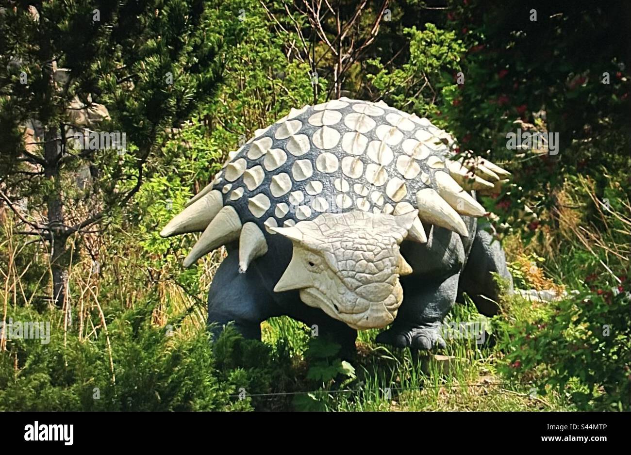 Ankylosaurus, dinosaur, prehistoric wildlife, dinosaur park, Calgary ...