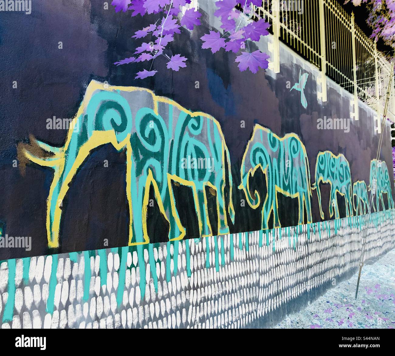Colourful elephant street art by local artist Christopher Griffin Stock ...
