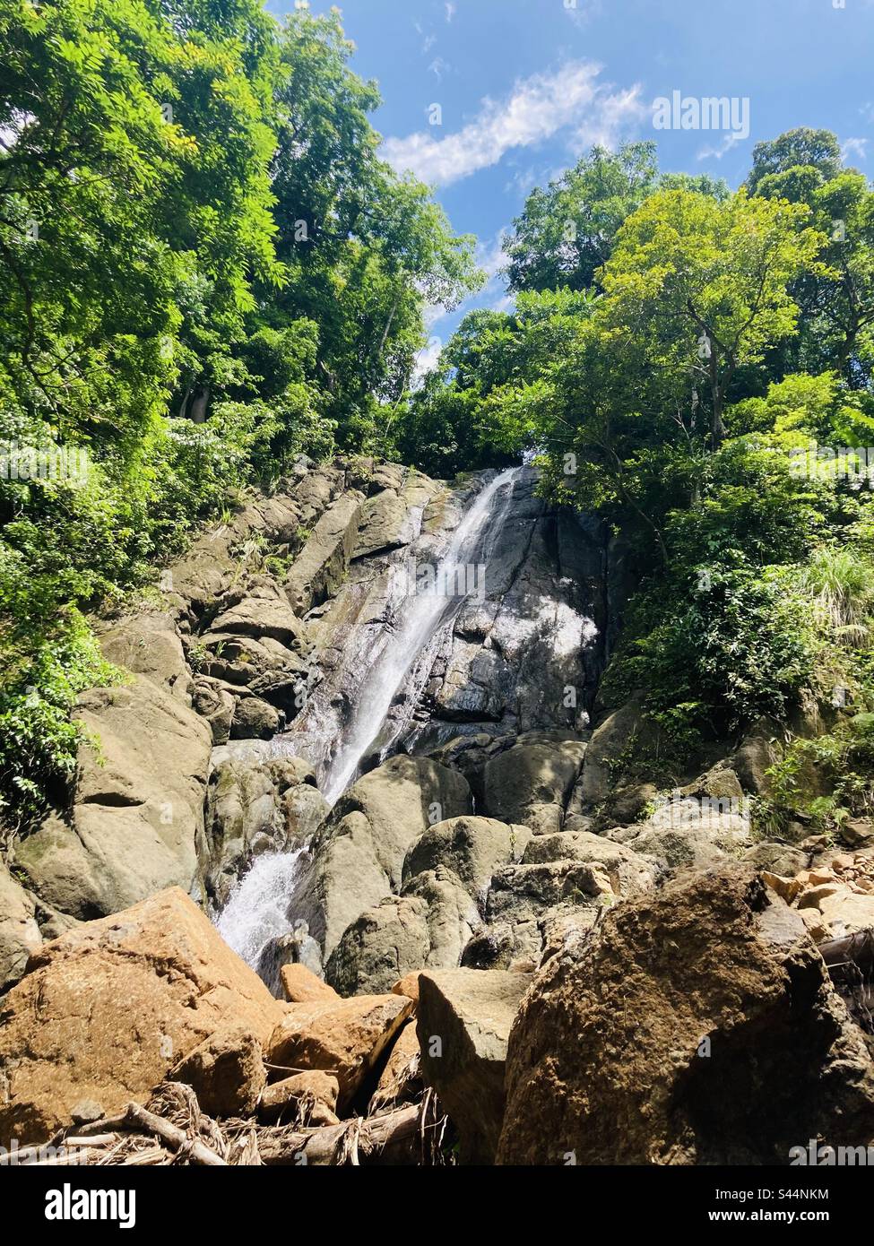 Nature vibes hi-res stock photography and images - Alamy