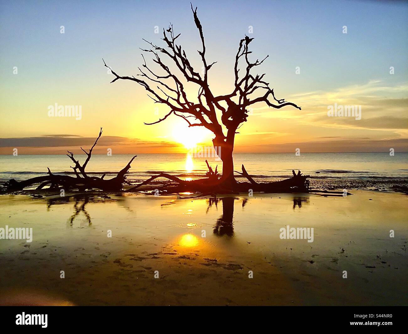 The rising sun cast a golden hue across the morning sky. Golden fingers ...