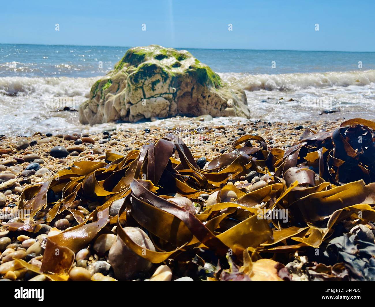 Seaweed and pebbles hi-res stock photography and images - Alamy