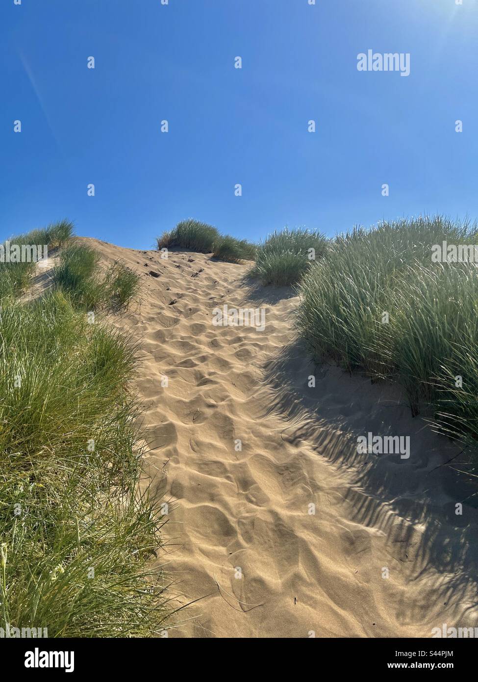 Sand dunes and sandy path at Woolacombe beach, Devon, England Stock ...