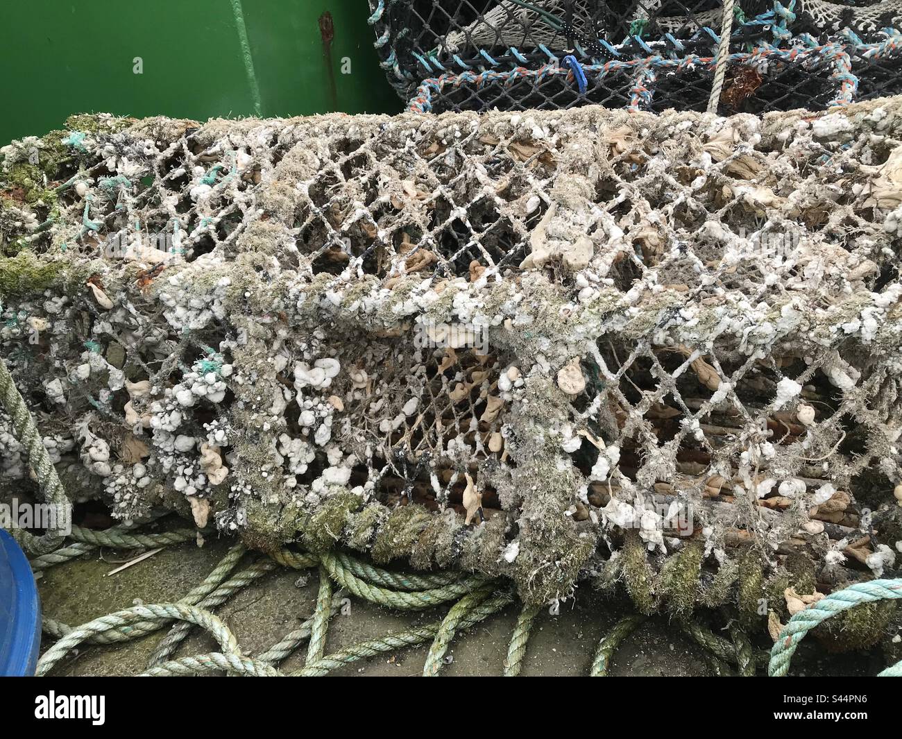 Old barnacles hi-res stock photography and images - Alamy