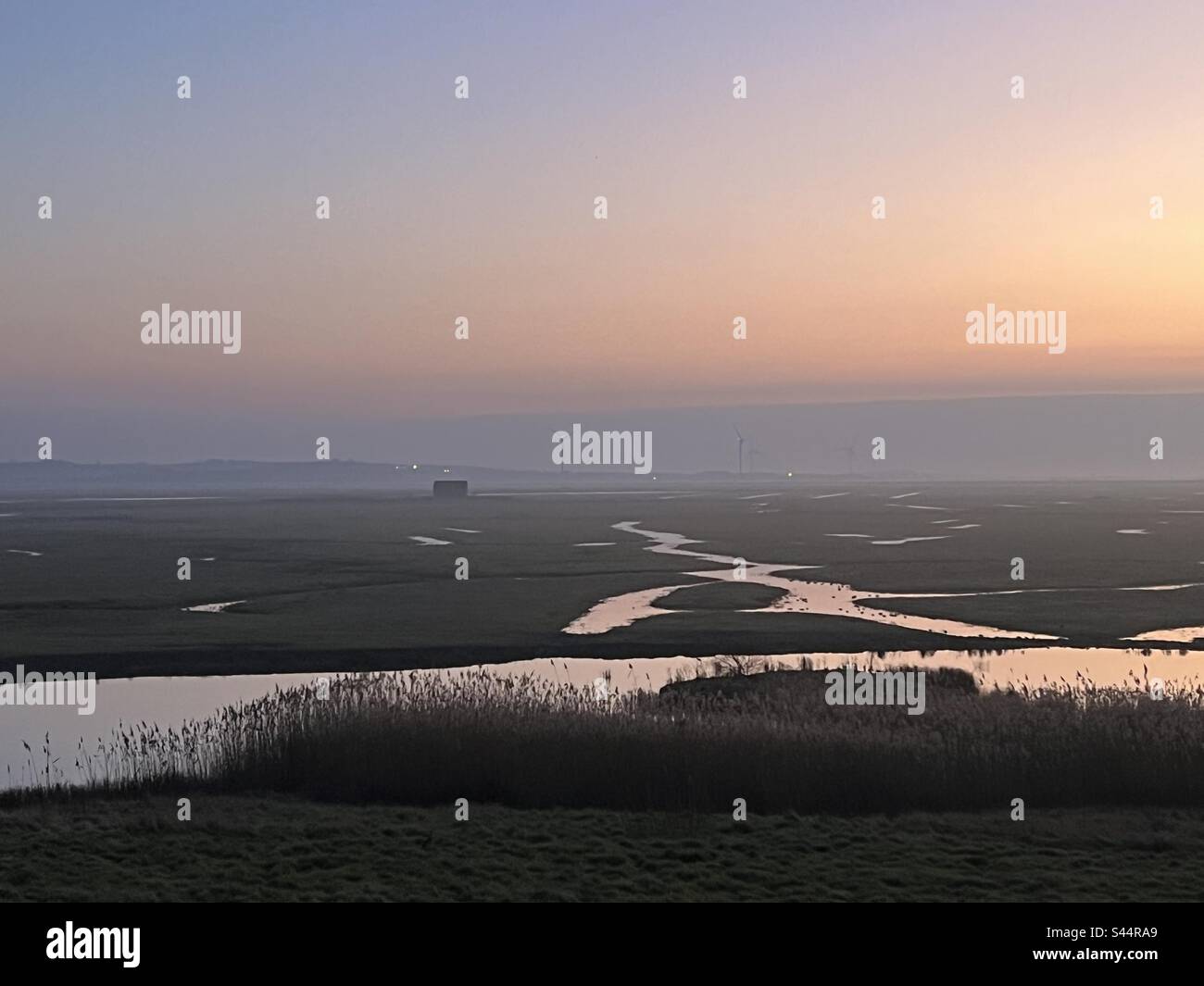 Elmley nature reserve, isle of Sheppey, Kent Stock Photo - Alamy