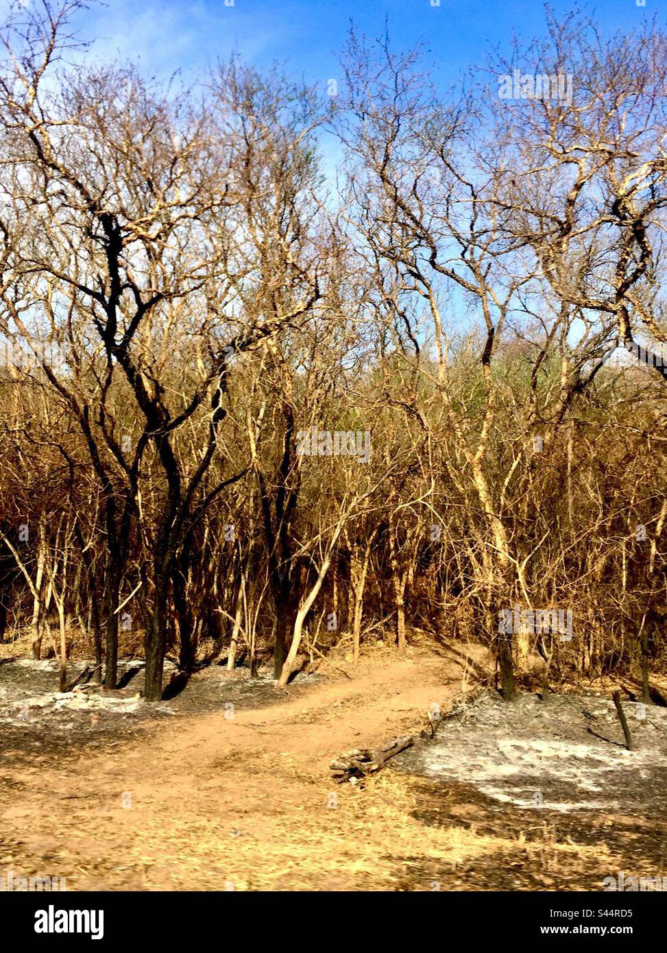 El quemado hi-res stock photography and images - Alamy