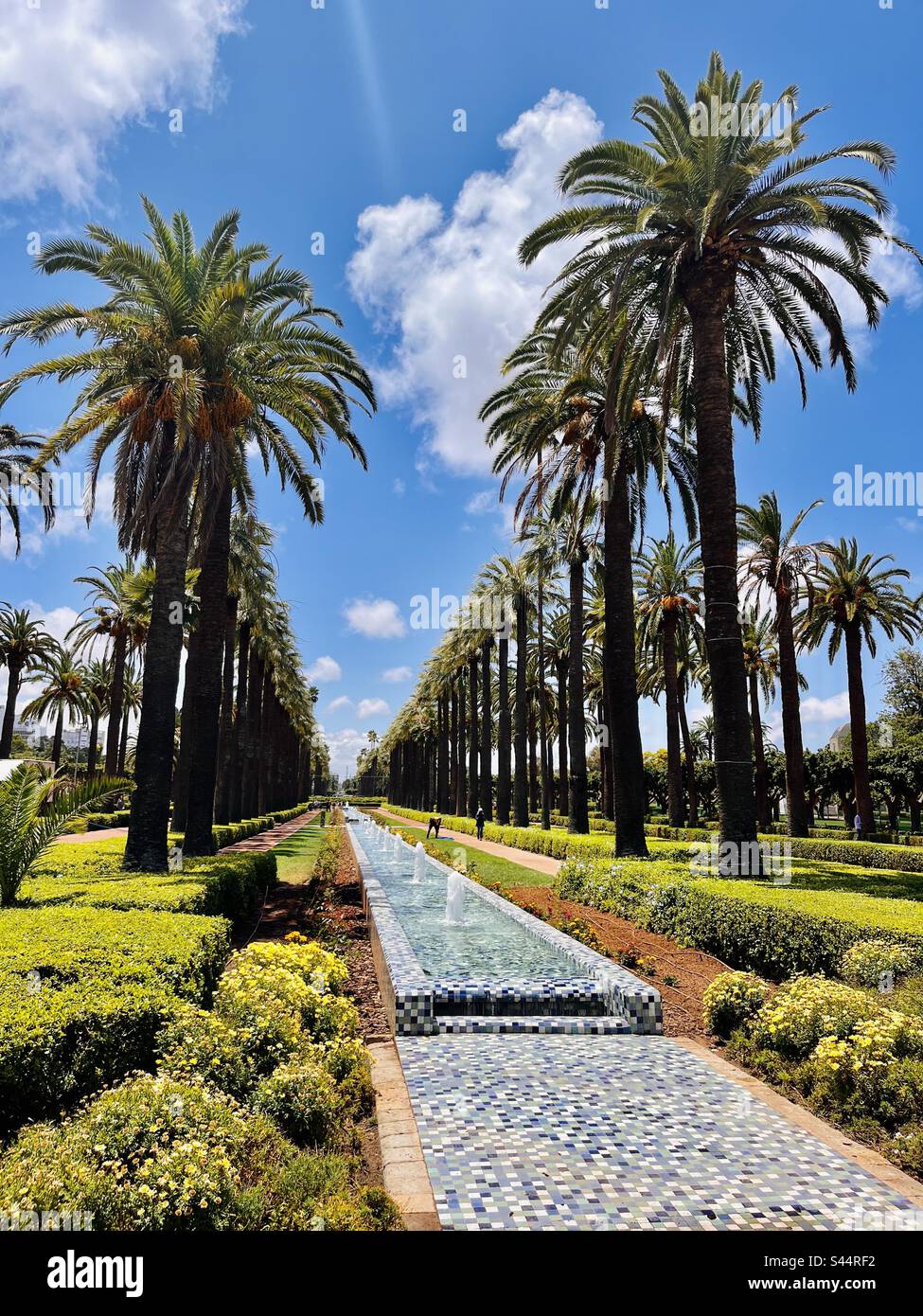 Beautiful inner city park with palm trees and water feature Stock Photo ...