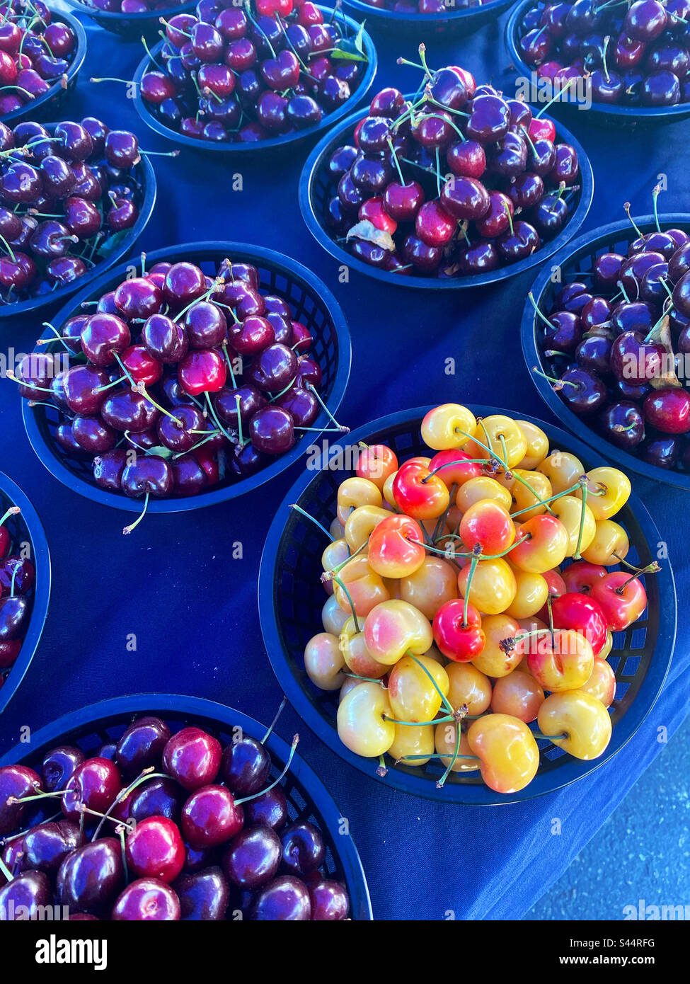 Fresh cherries at a spring farmers market Stock Photo - Alamy