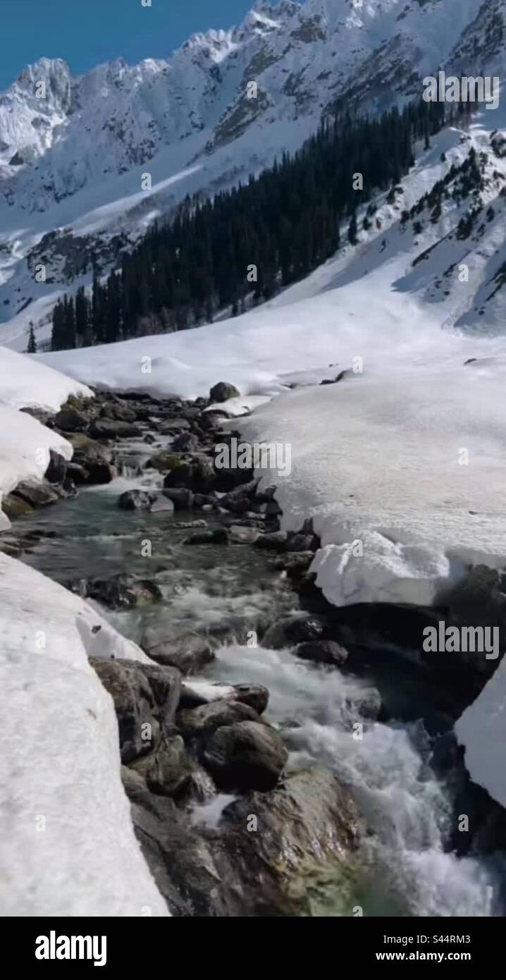 Mountain View lots of trees and rivers so beautiful place Stock Photo ...
