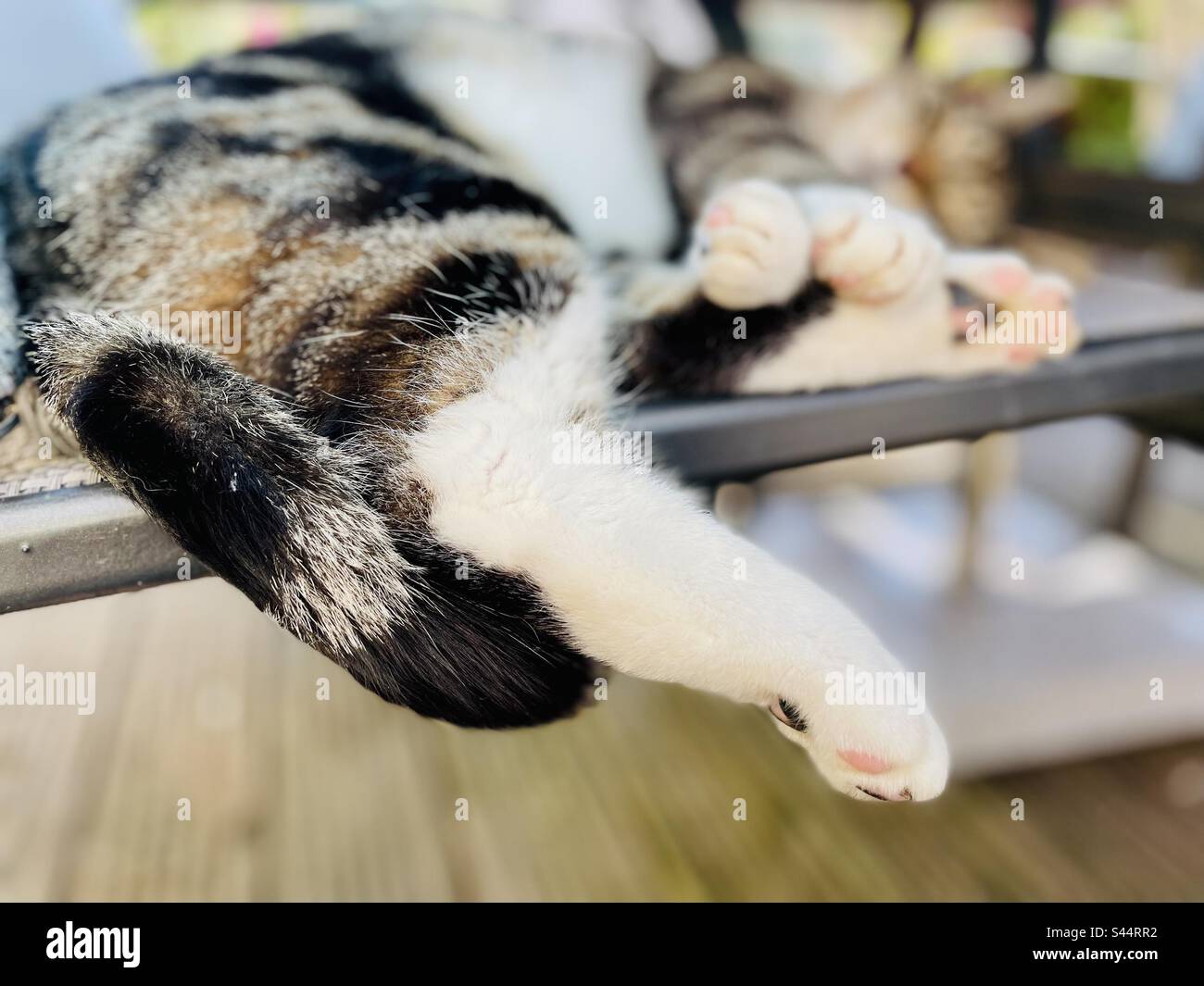 Chilled out hi-res stock photography and images - Alamy