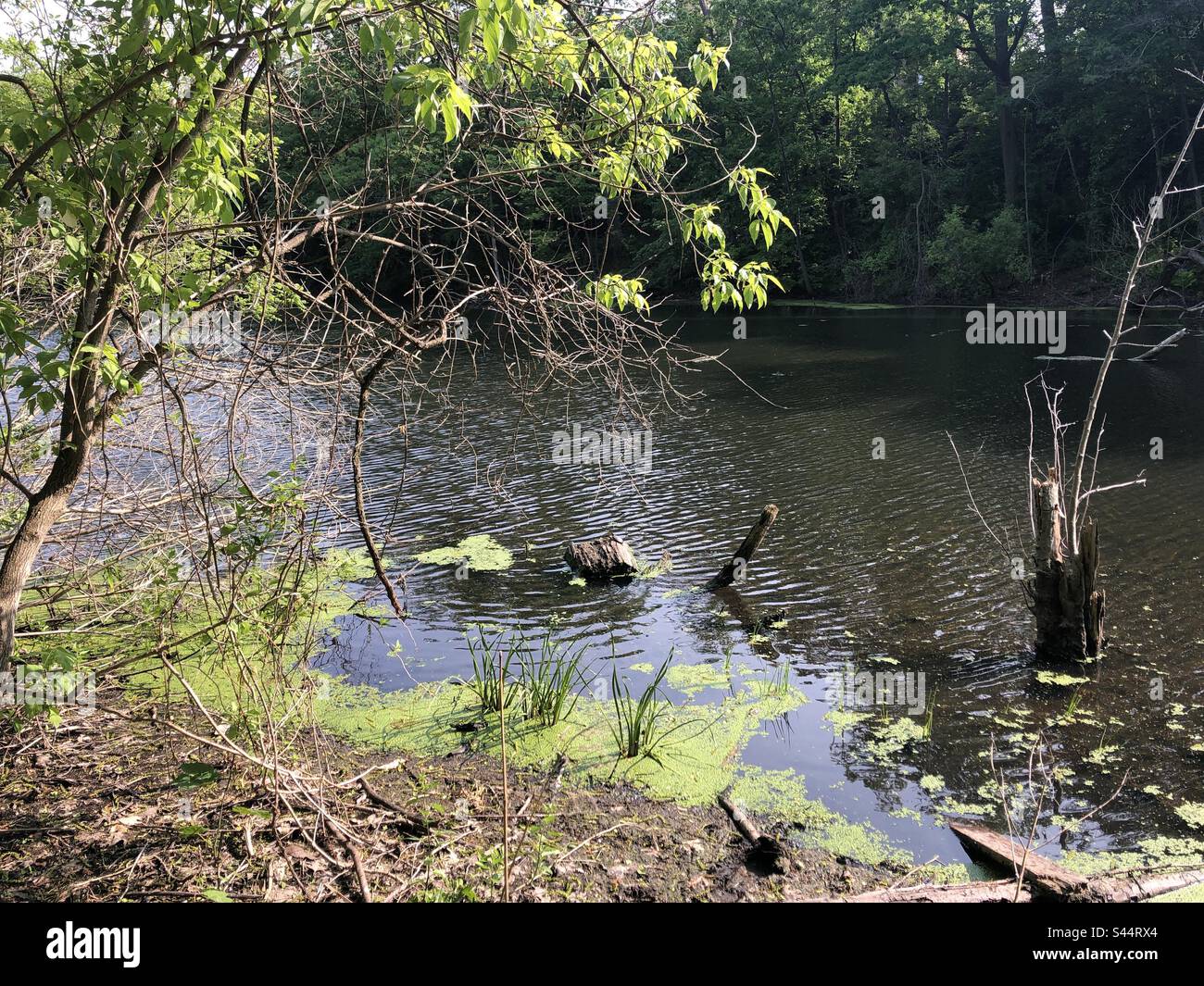 Nature setting hi-res stock photography and images - Alamy