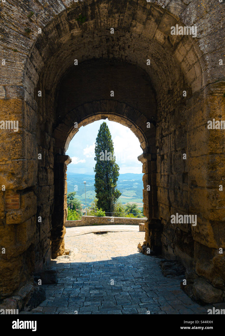 Cypress tree seen through arch in Tuscan town of Volterra Stock Photo ...