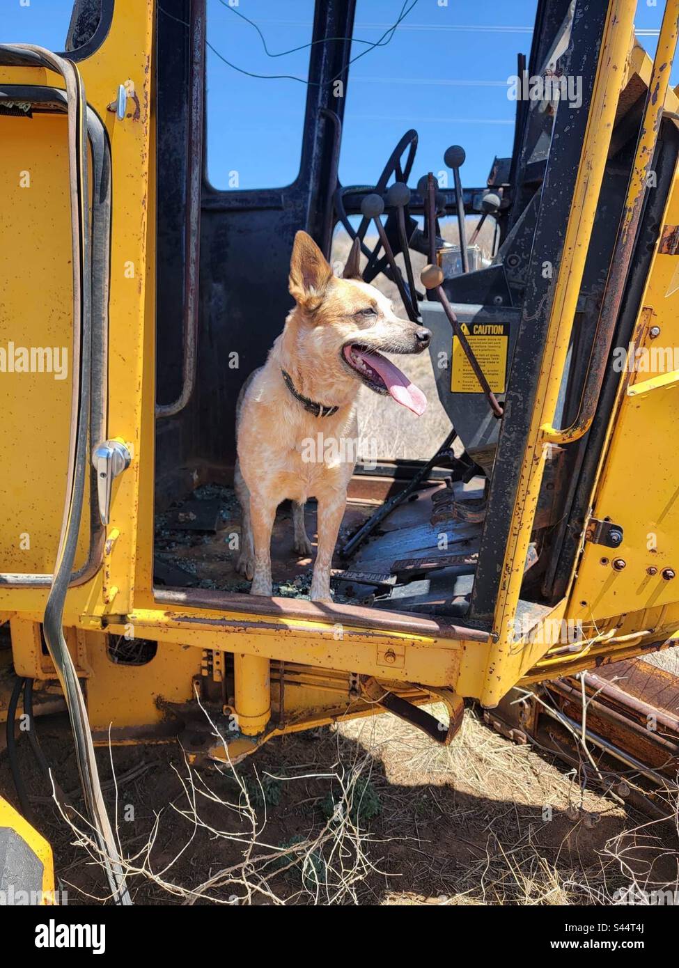 Happy farm hi-res stock photography and images - Alamy