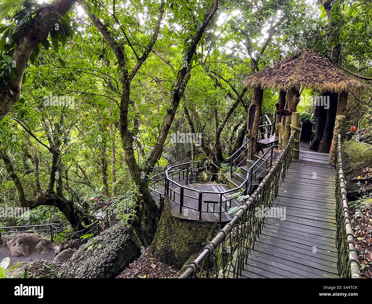 Tropical rainforest of hainan hi-res stock photography and images - Alamy