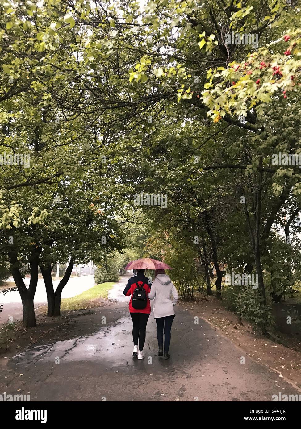 Together under one umbrella hi-res stock photography and images - Alamy