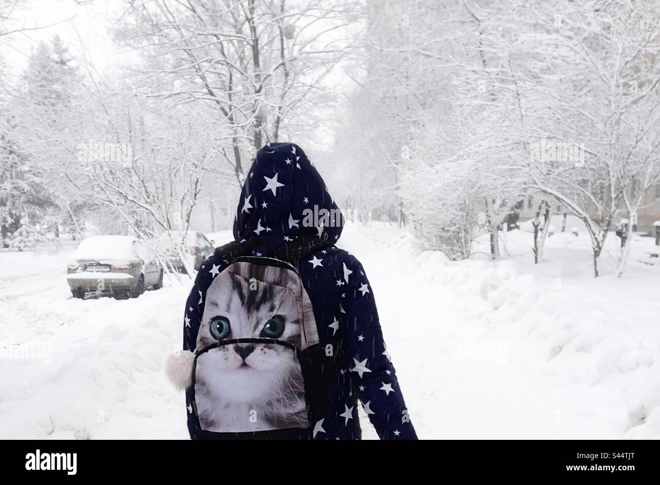 Cat in the backpack hi-res stock photography and images - Alamy