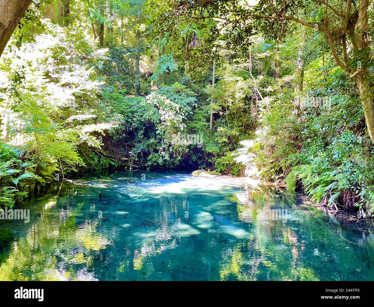 Crystal pond hi-res stock photography and images - Alamy