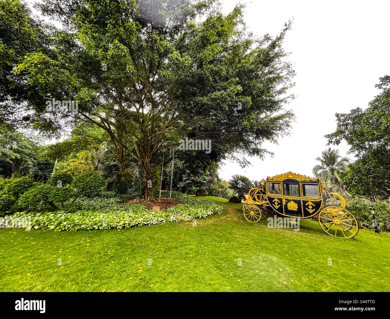 Disney scene on island Stock Photo - Alamy