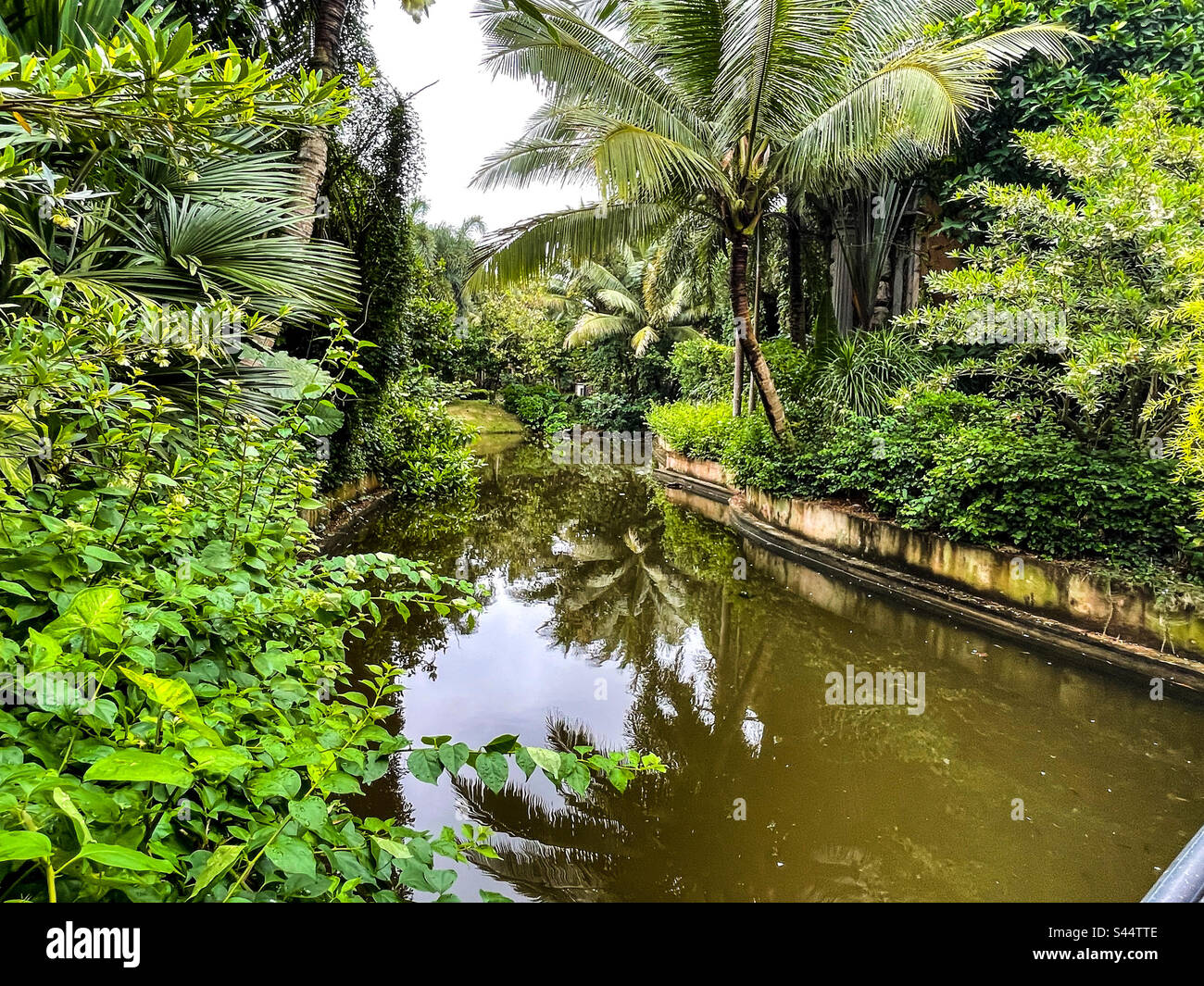 Trees next to pond Stock Photo - Alamy