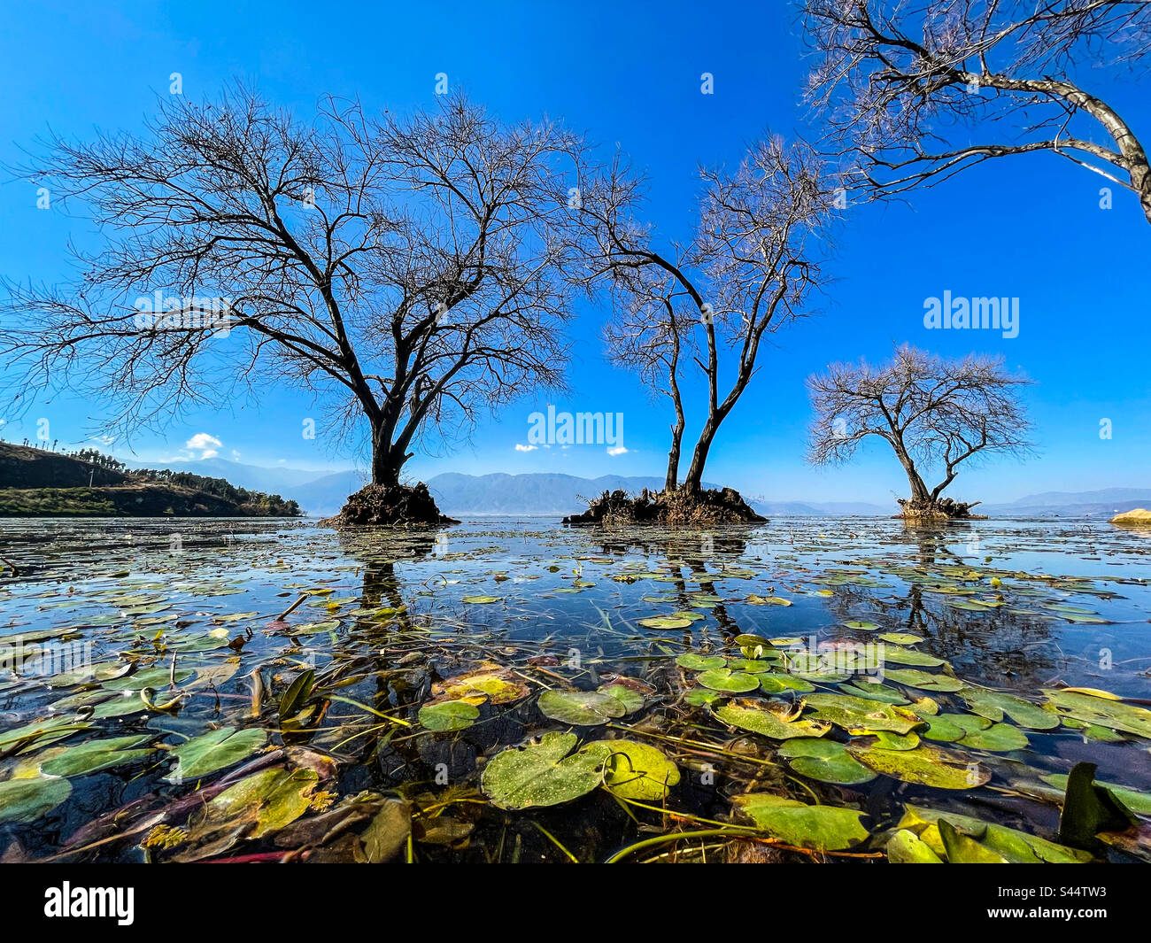 Winter next to the lake Stock Photo - Alamy