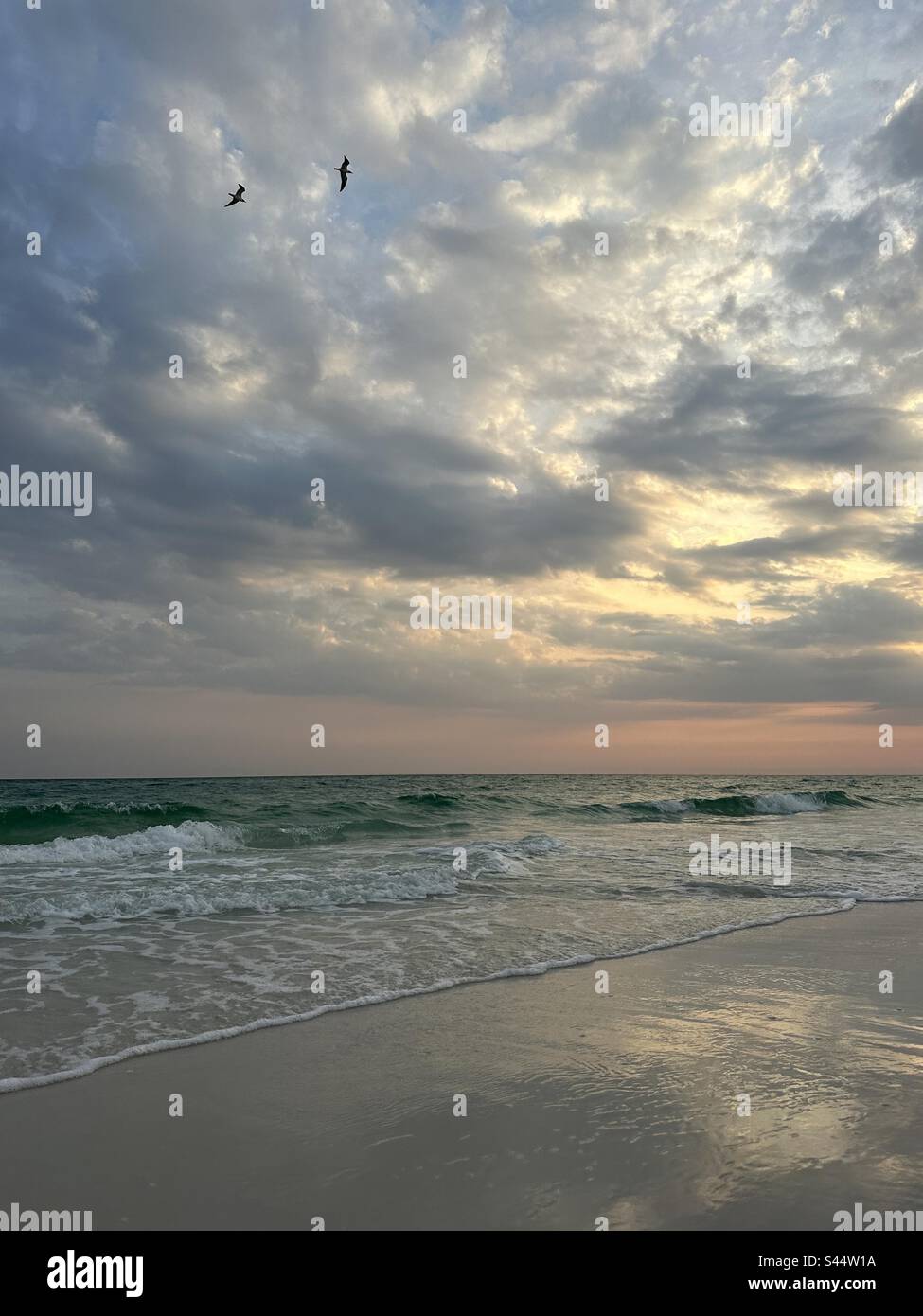 Emerald Coast Florida sunset over the Gulf of Mexico with two seagulls ...