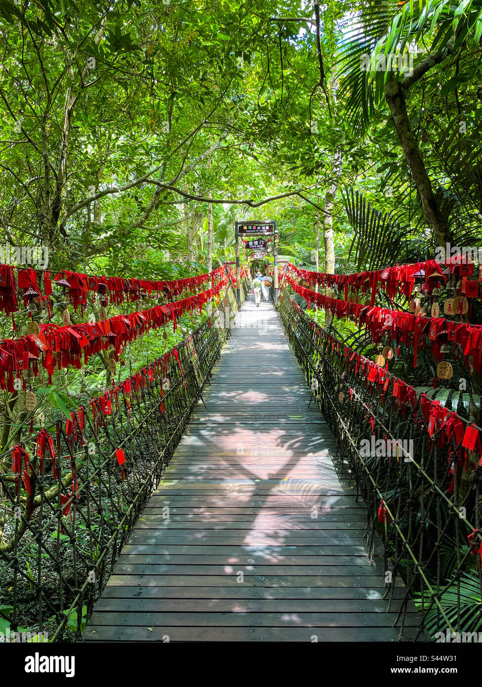 Bridge jungle hi-res stock photography and images - Alamy