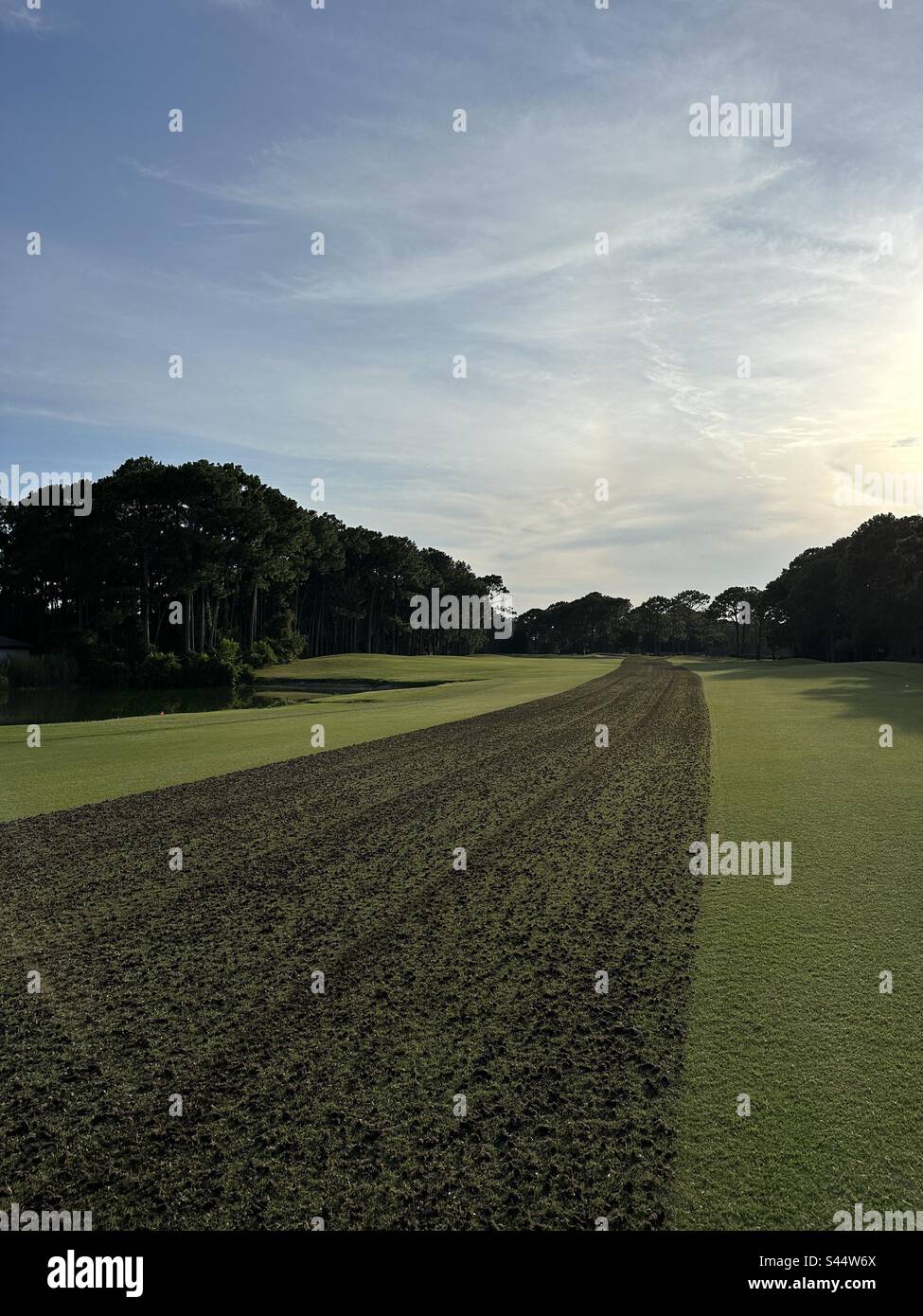Aerated golf turf greens with sunset sky background Stock Photo - Alamy