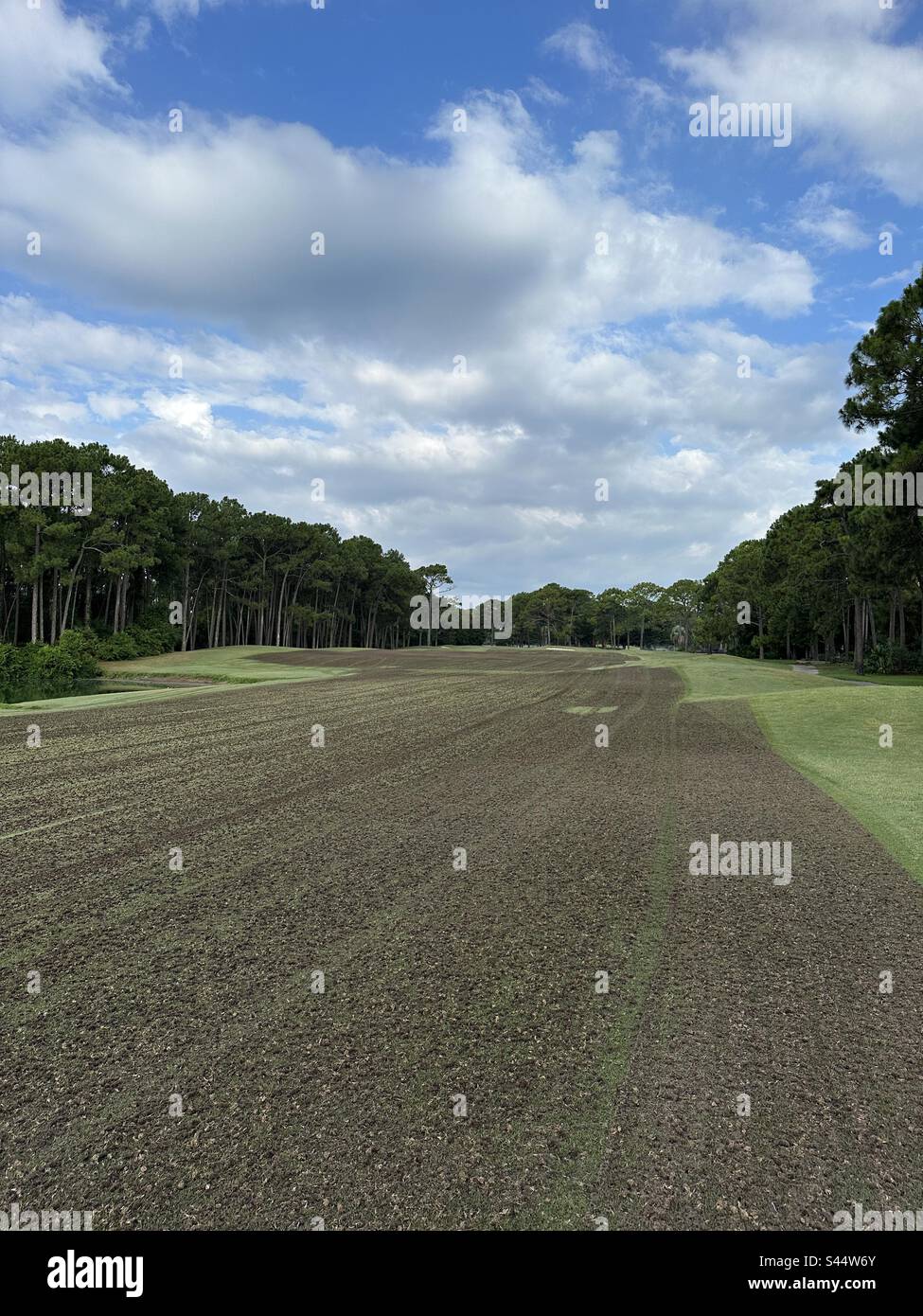Golf turf hi-res stock photography and images - Alamy