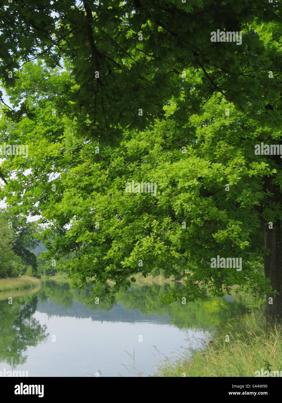 Fluss aare hi-res stock photography and images - Alamy