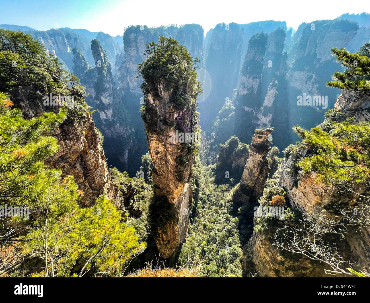 Avatar mountains hi-res stock photography and images - Alamy