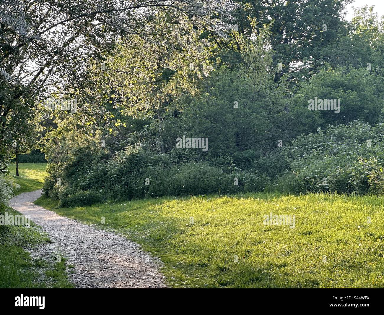 A summers evening in the outdoors Stock Photo - Alamy