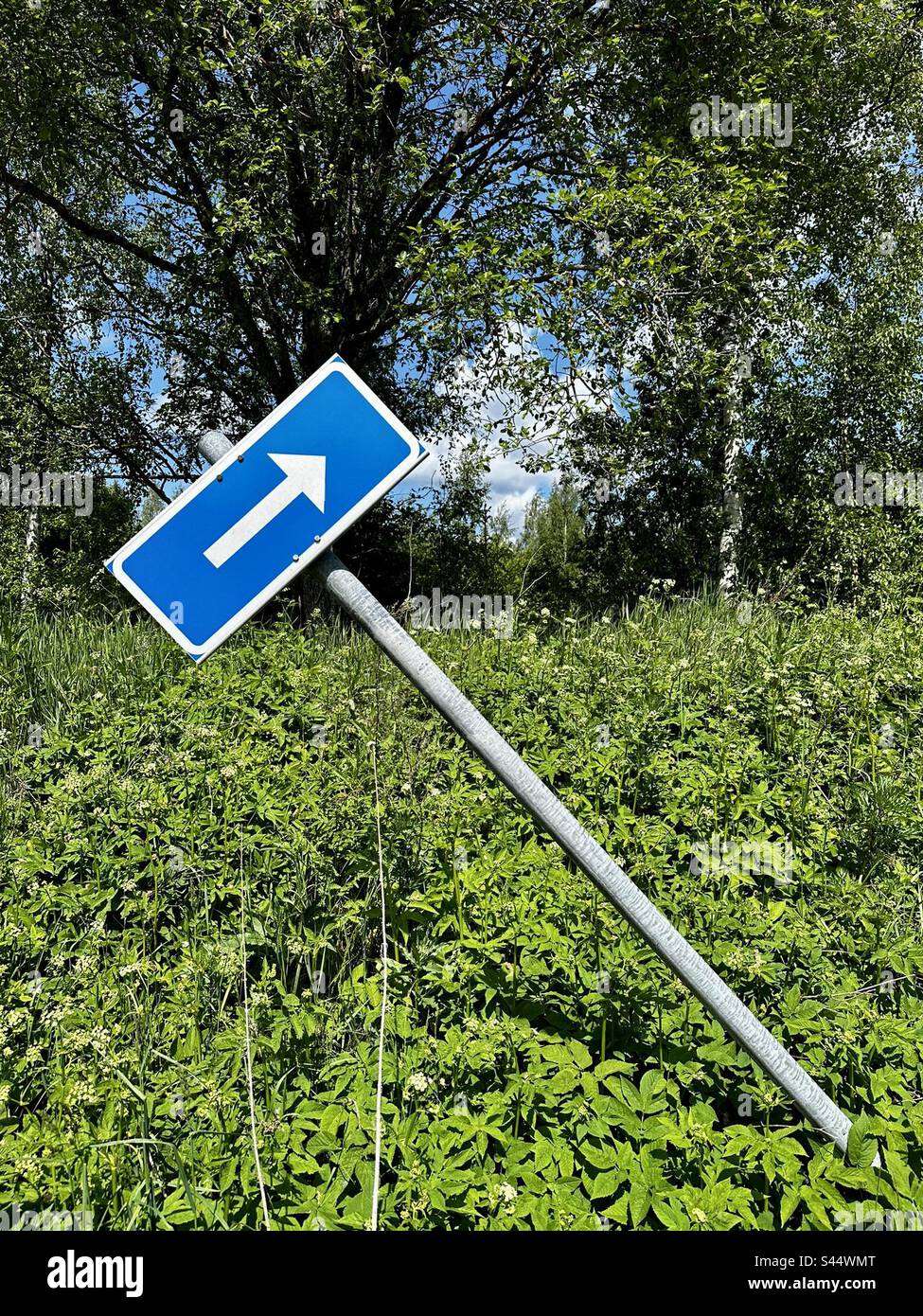 Traffic sign arrow pointing up right Stock Photo - Alamy