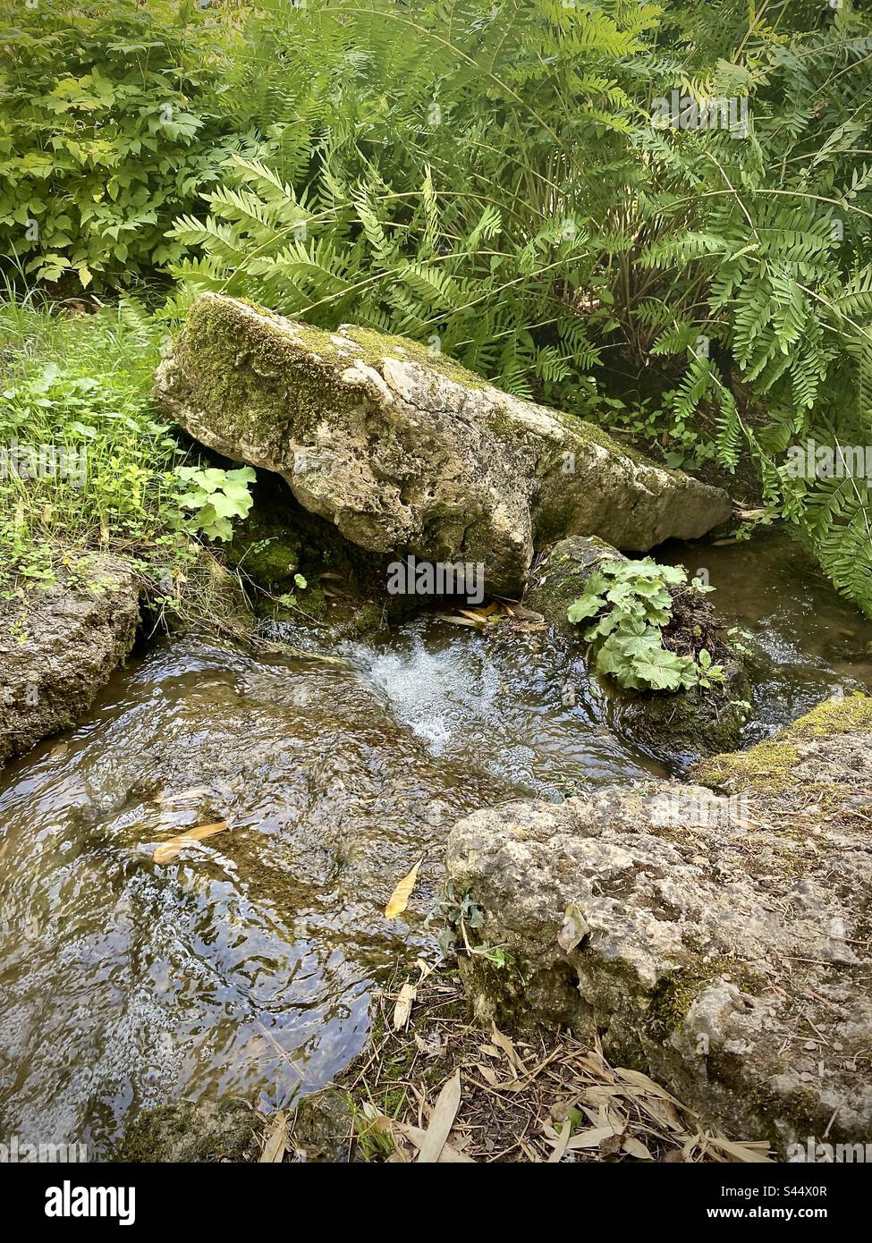 Stream with stones hi-res stock photography and images - Alamy