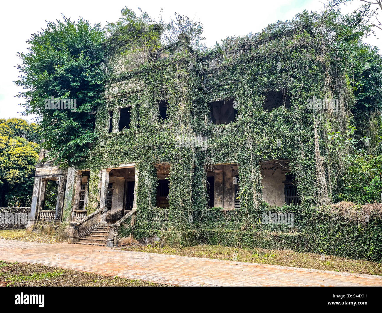 Overgrown building hi-res stock photography and images - Alamy
