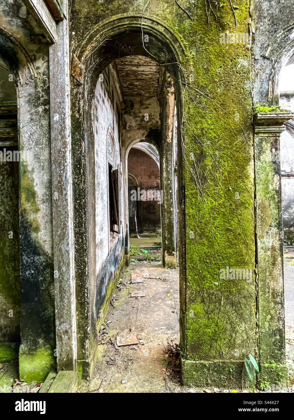 Moss on concrete pillars in abandoned village house Stock Photo - Alamy