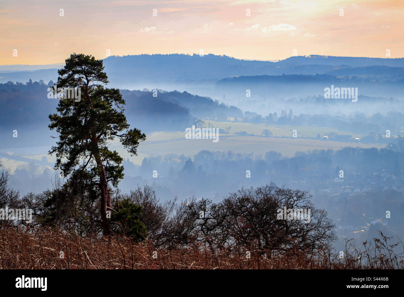 Surrey mist hi-res stock photography and images - Alamy