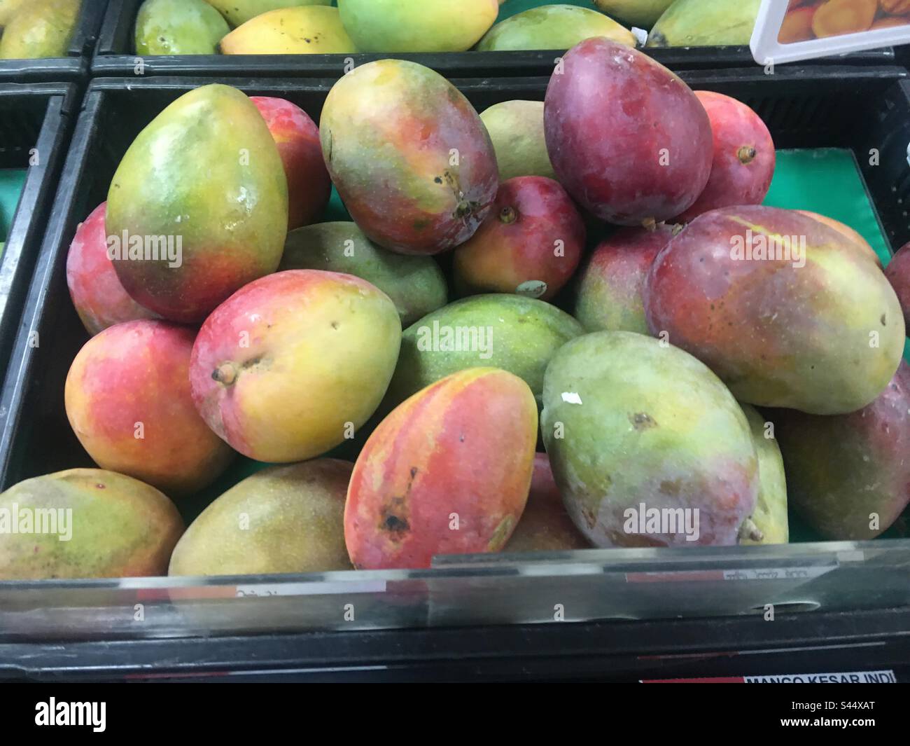 Freshly arrived hi-res stock photography and images - Alamy