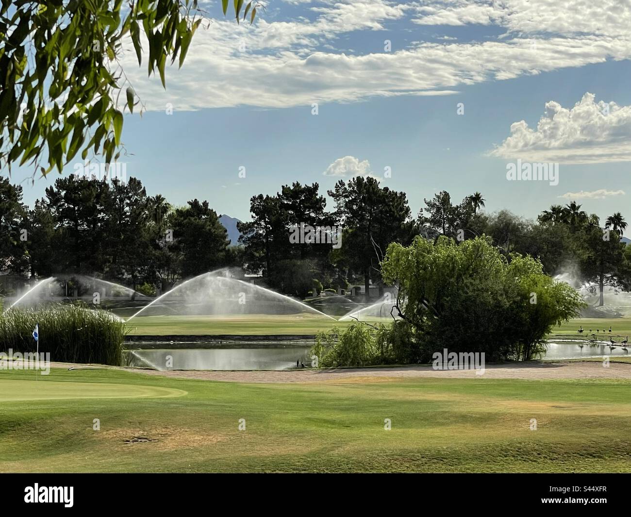 Raphaels pond hi-res stock photography and images - Alamy