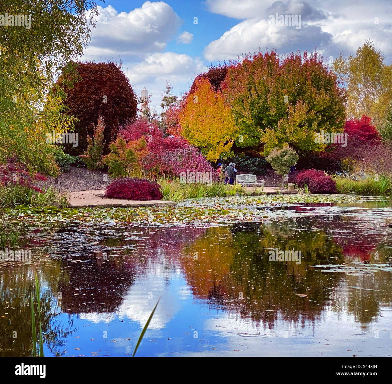 Mayfield lake hi-res stock photography and images - Alamy