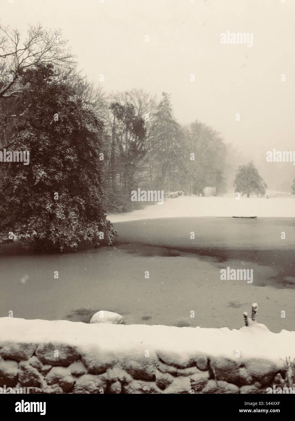 Fur tree hi-res stock photography and images - Alamy