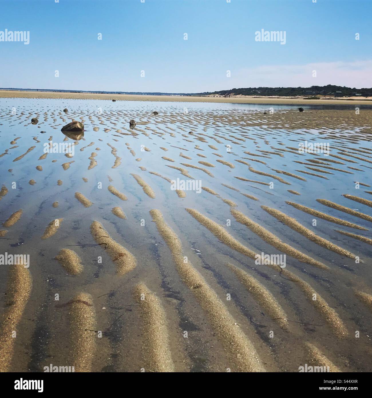 Tidal pool sand lines form a pattern across an empty New England beach ...