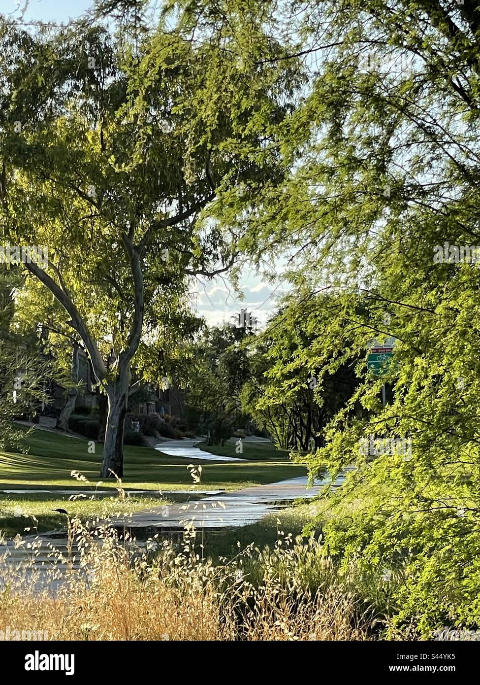 Suburban multi use trail hi-res stock photography and images - Alamy