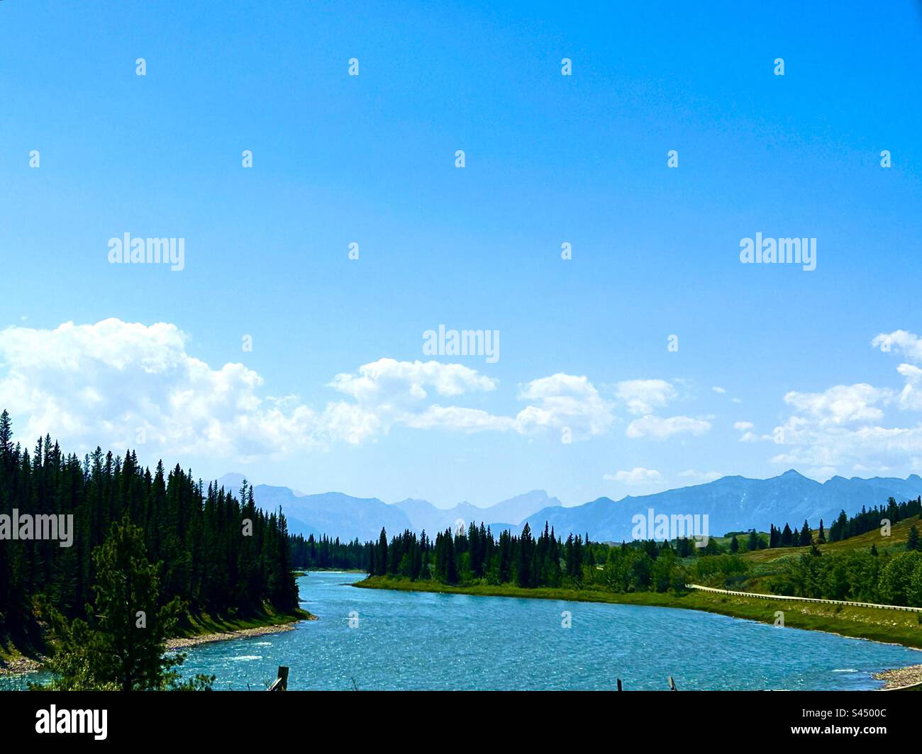 Bow River, Rockies, Canadian Rocky Mountains, forest, scenic, solitude ...