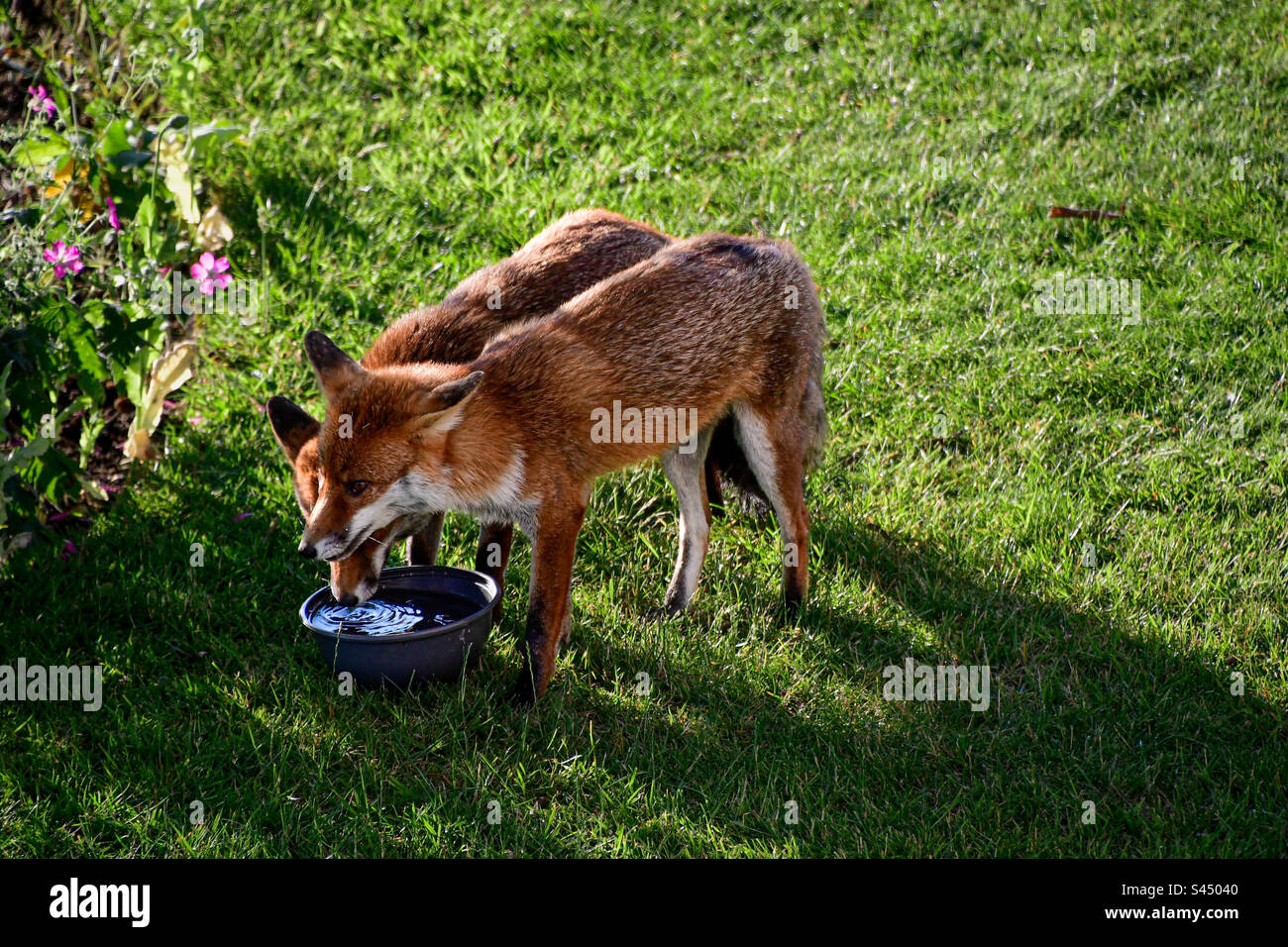 June 2023 heatwave hi-res stock photography and images - Alamy