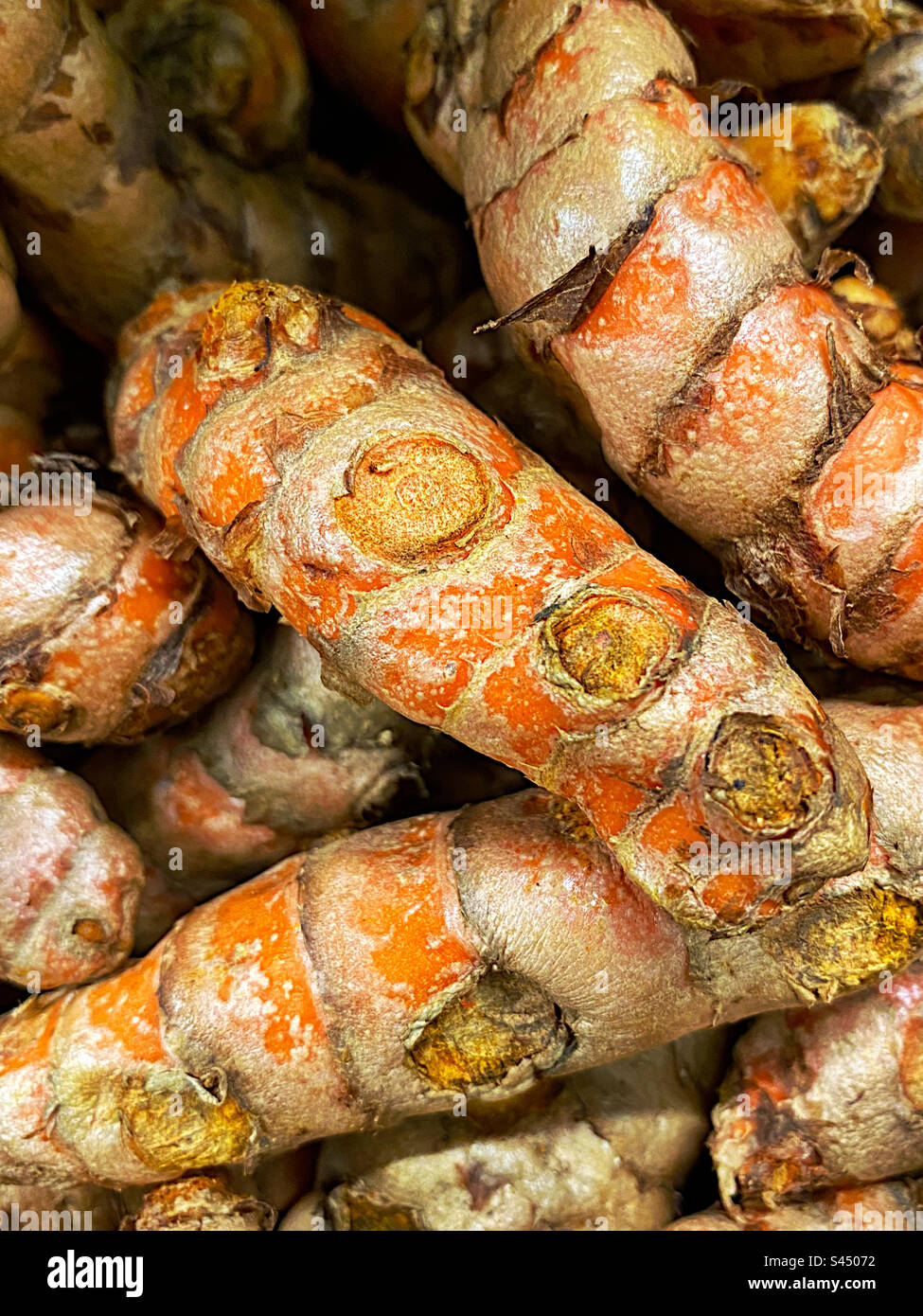 Spice roots hi-res stock photography and images - Alamy