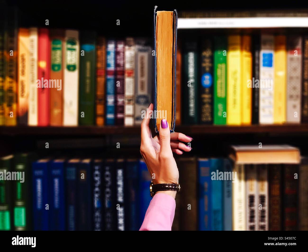 Bookshelf book hi-res stock photography and images - Alamy