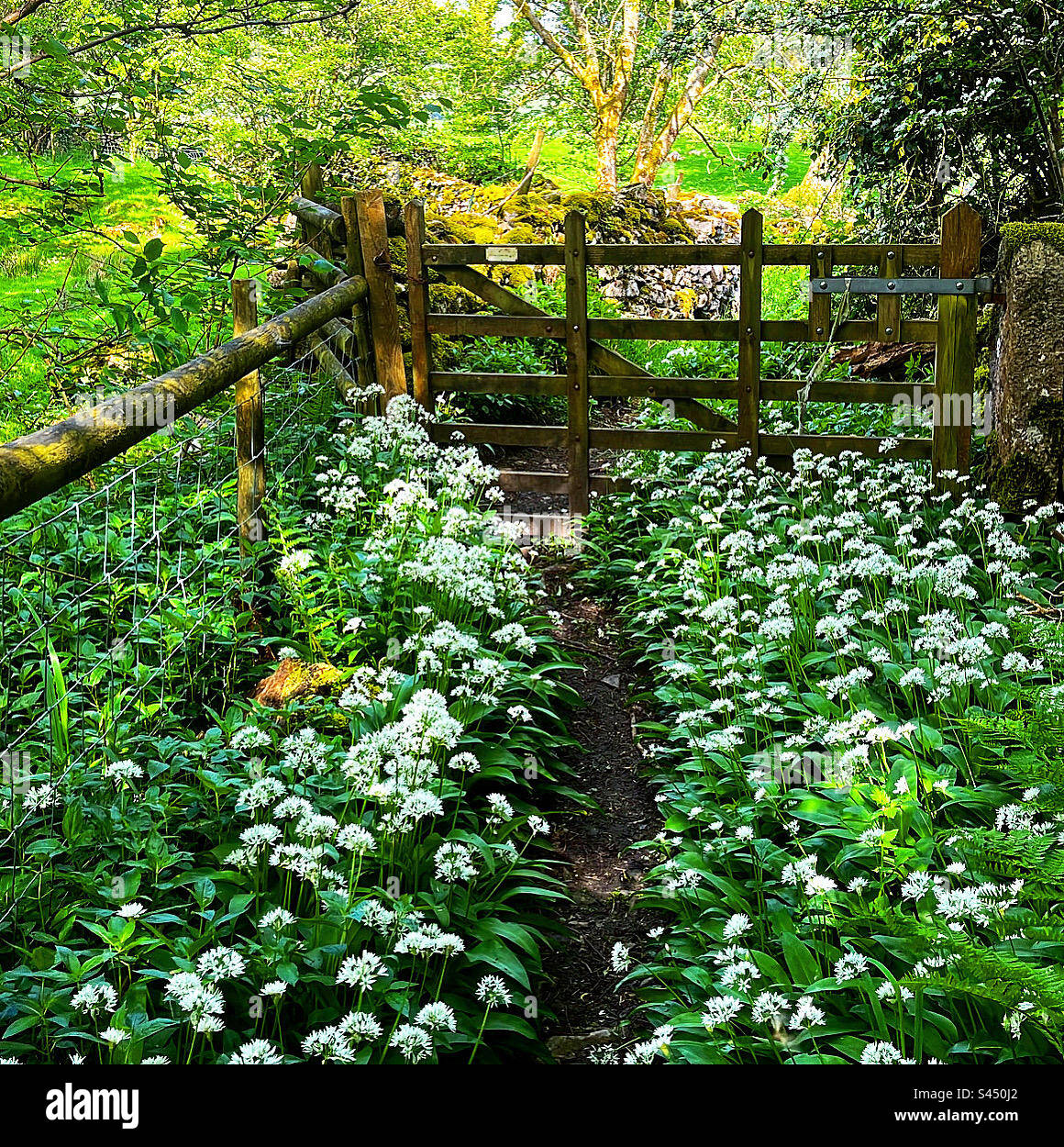 Enchanted spring garden hi-res stock photography and images - Alamy