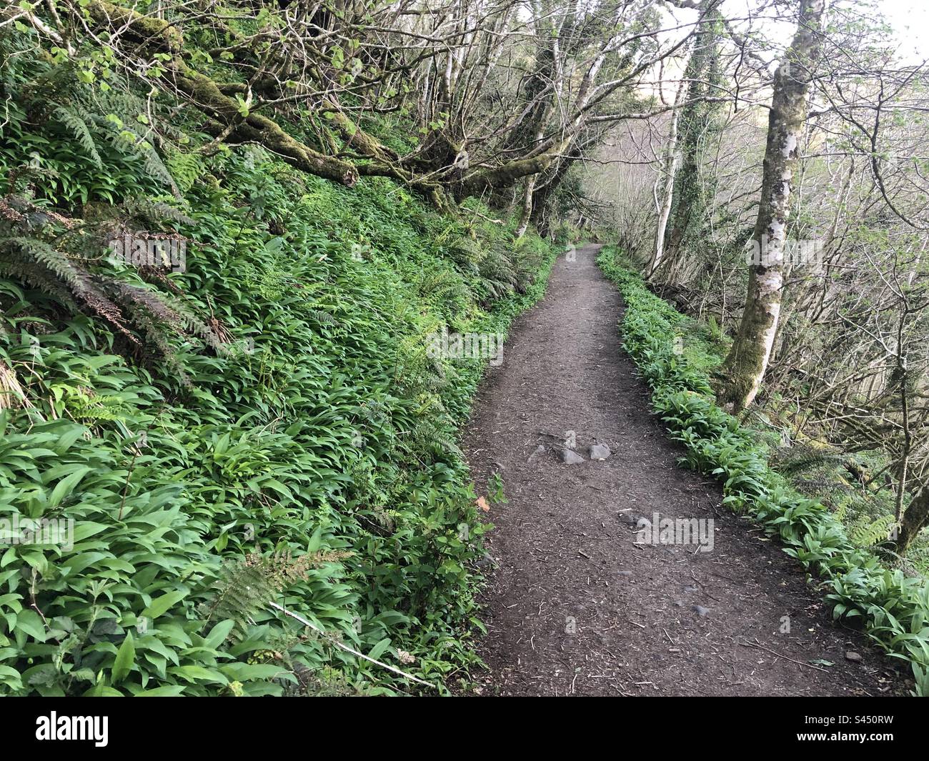 Walking route Scotland.Isle off Mull, Tobermory Stock Photo - Alamy Walking route Scotland.Isle off Mull, Tobermory Stock Photo - Alamy